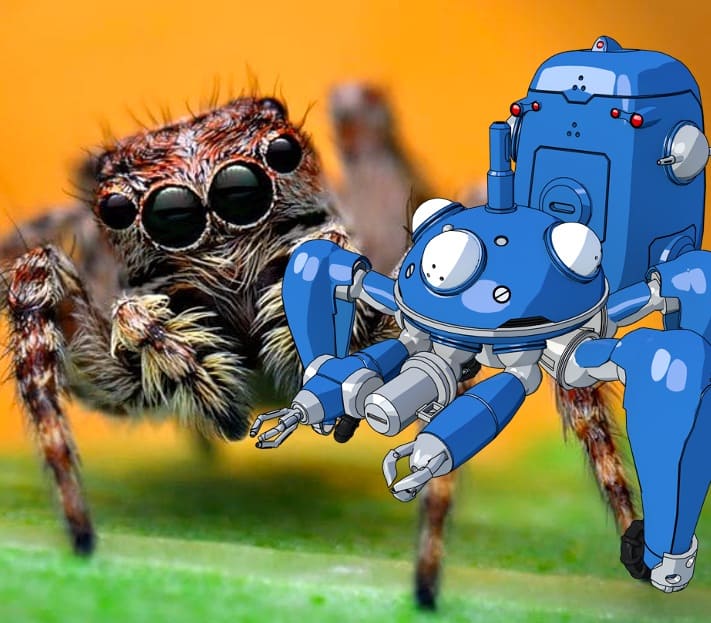 Ghost in the Shell - Biomimicry and Mecha design: Tachikoma, spider, etc.